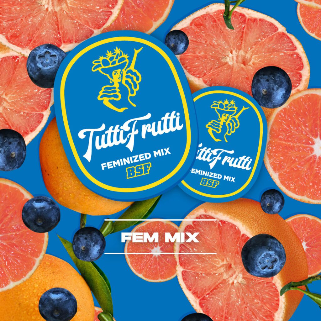 Tutti Frutti Feminized Mix - Juani Seeds